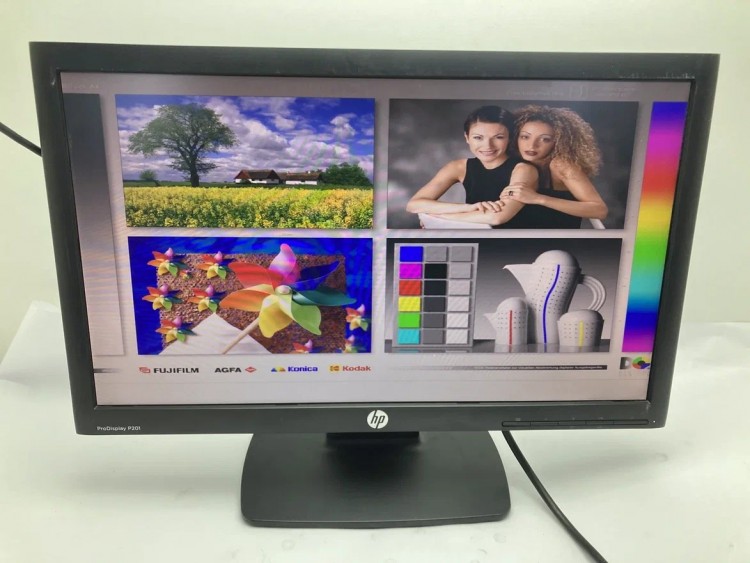 Монитор HP ProDisplay P201 20"